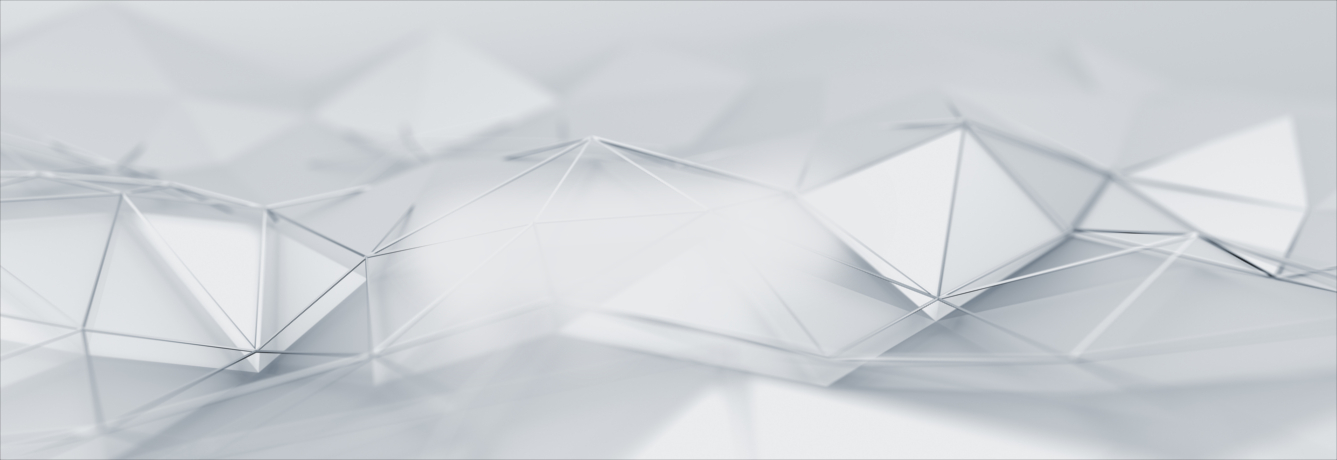 À propos – Realistic Security